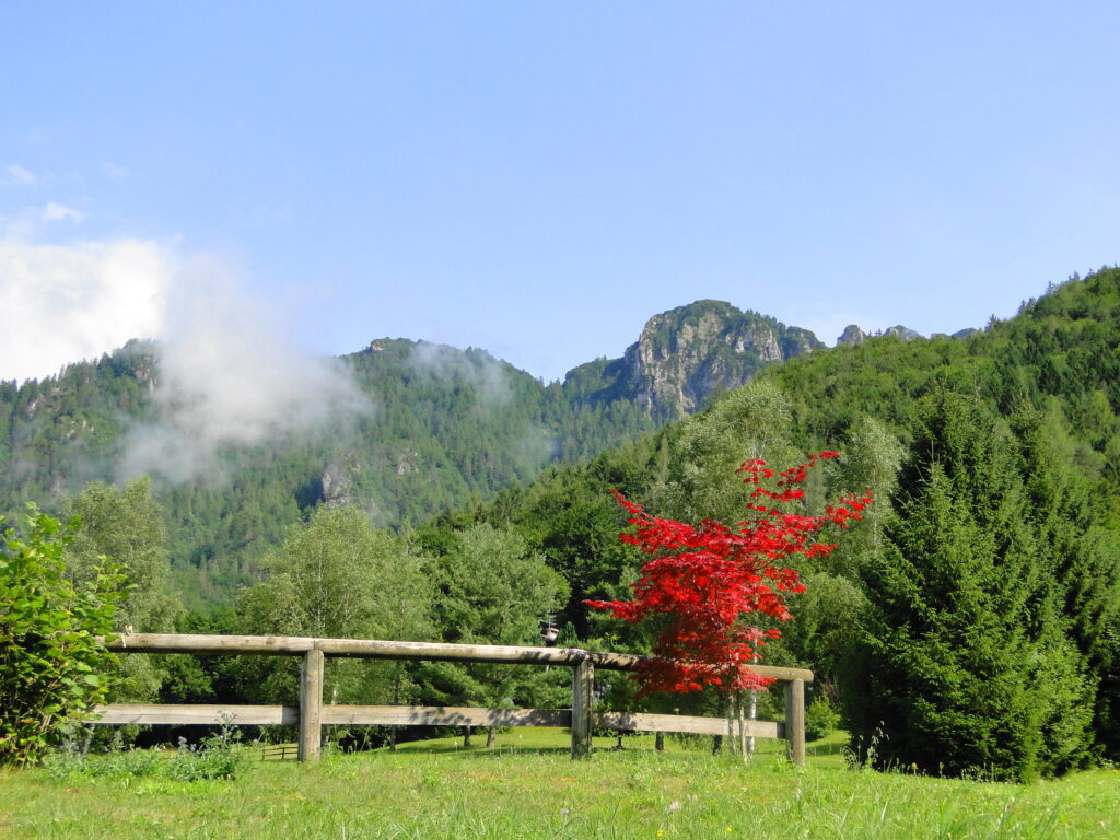 Over ons - Jouw Volgende Stap